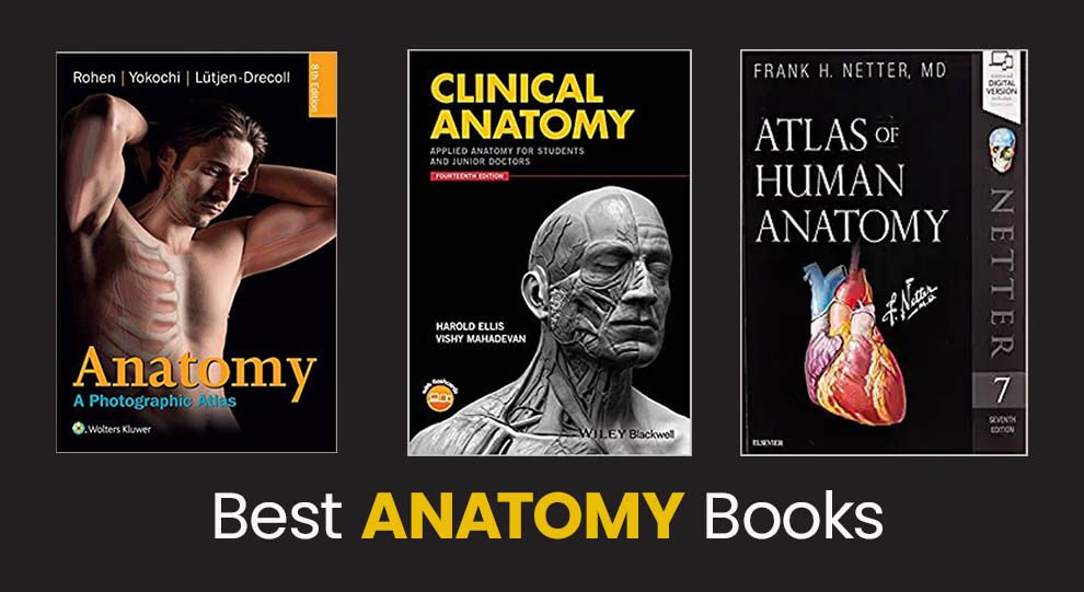 Top Anatomy and Physiology Online Courses (4 Accredited Picks) - TangoLearn